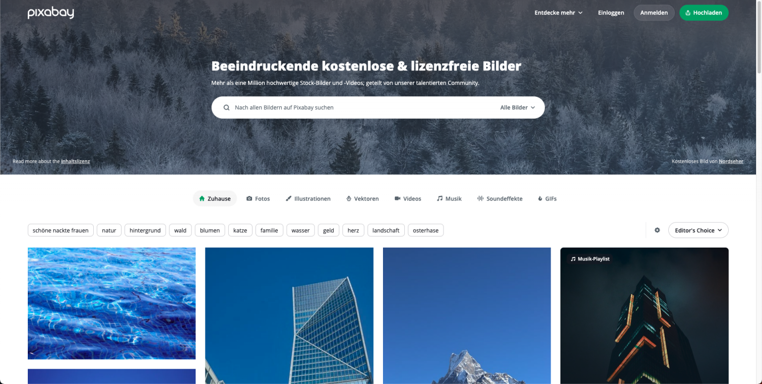 Tipps und Top-Seiten für das passende Stockmaterial 🚀